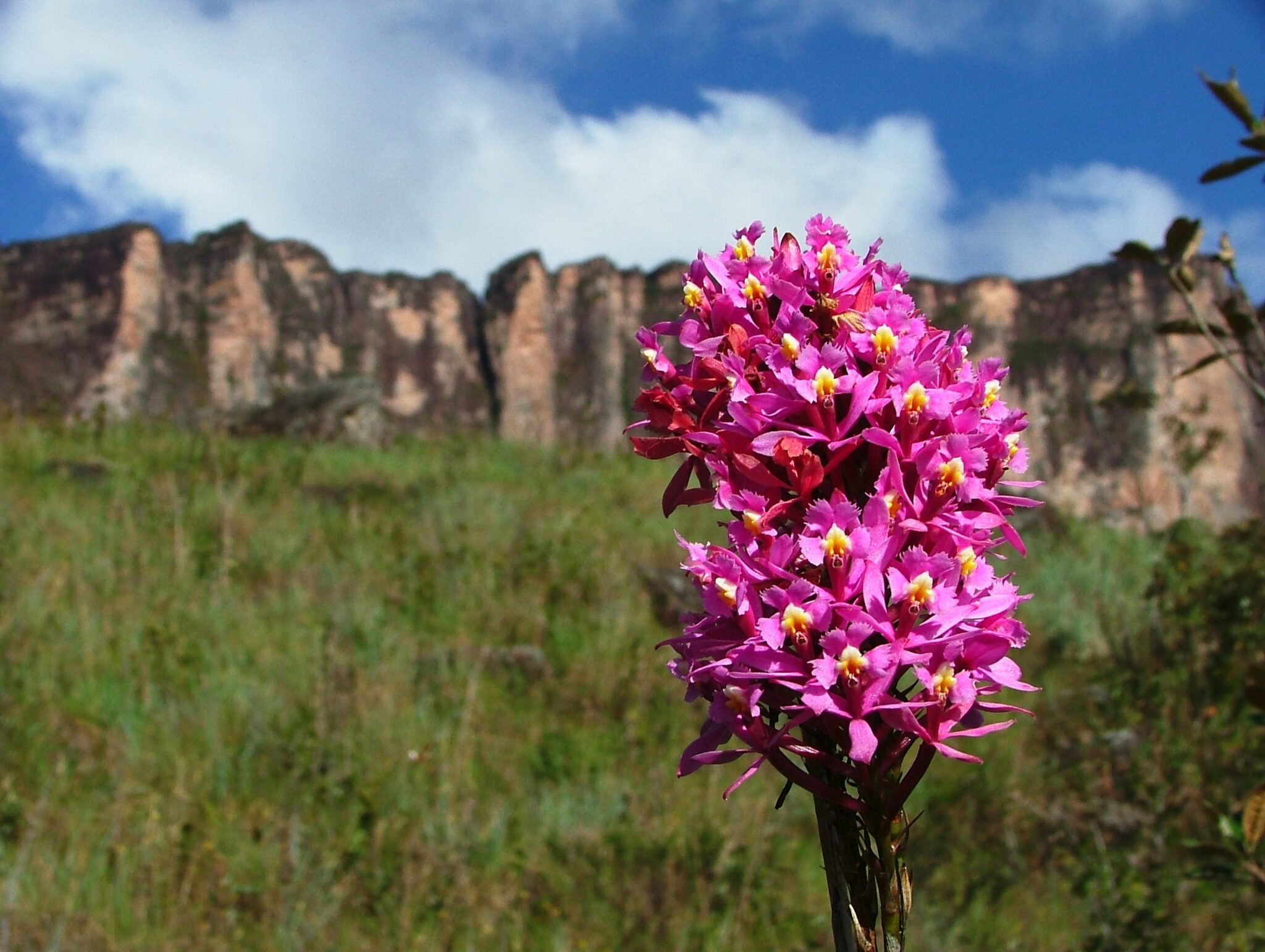 Monte Roraima sob os olhares de makunaima - Roraima Adventures